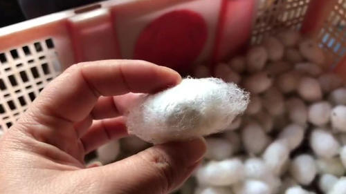 原来蚕丝被是这样生产出来的!