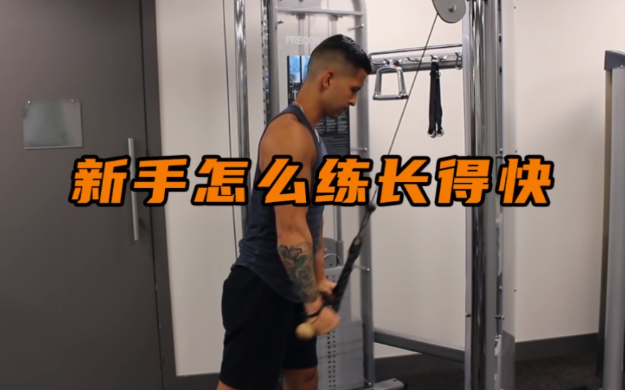 刚开始健身时,怎么安排训练日长得更快【双语字幕】