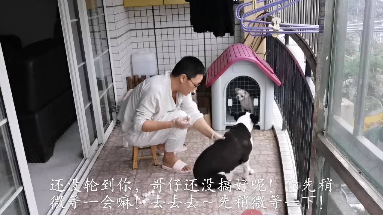 记录小老太忙碌的一天:检修门窗、护理狗宝、收到新的自驾神器!