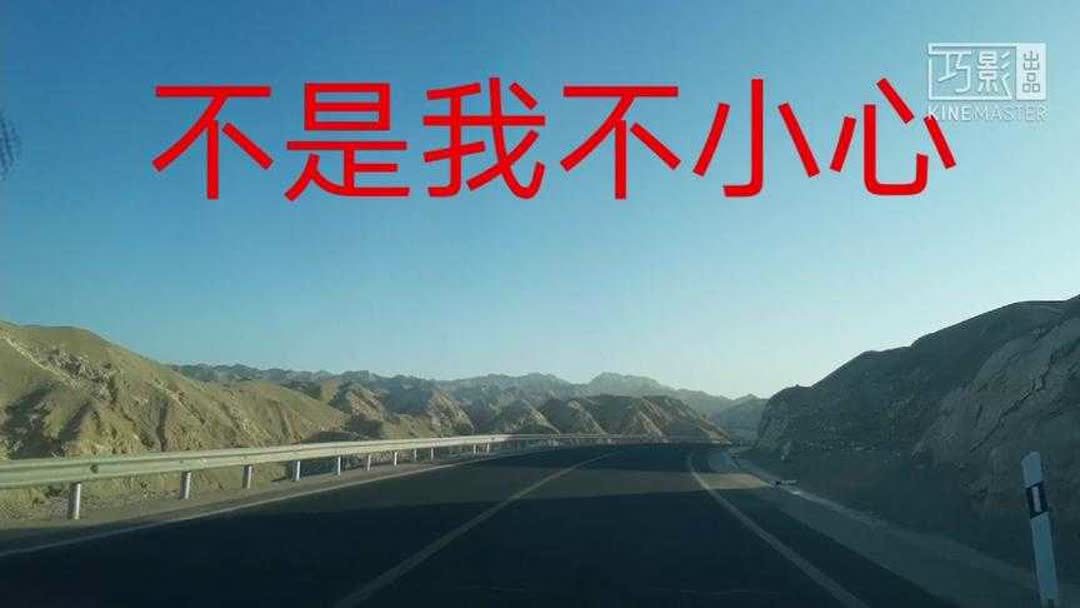 口琴演奏 《不是我不小心》从来不敢仔细看你 怕就此迷失自己