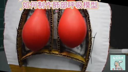 如何制作肺部呼吸模型