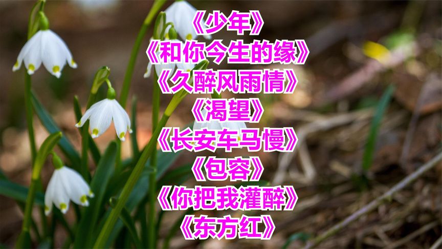 {少年}{和你今生的缘}{久醉风雨情}{渴望}{长安车马慢}