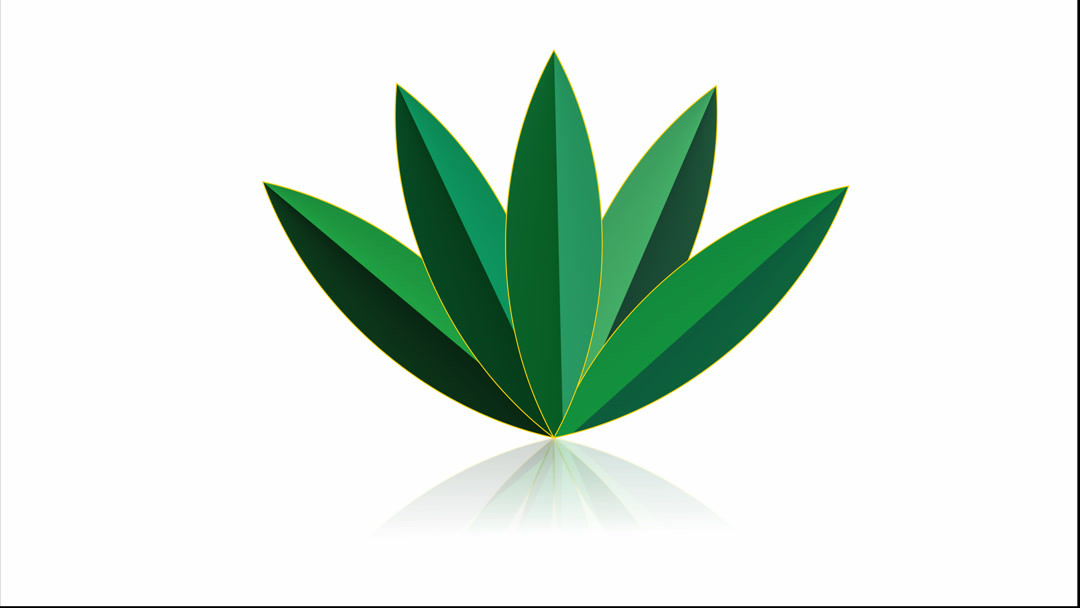 CorelDRAW制作矢量图叶子logo