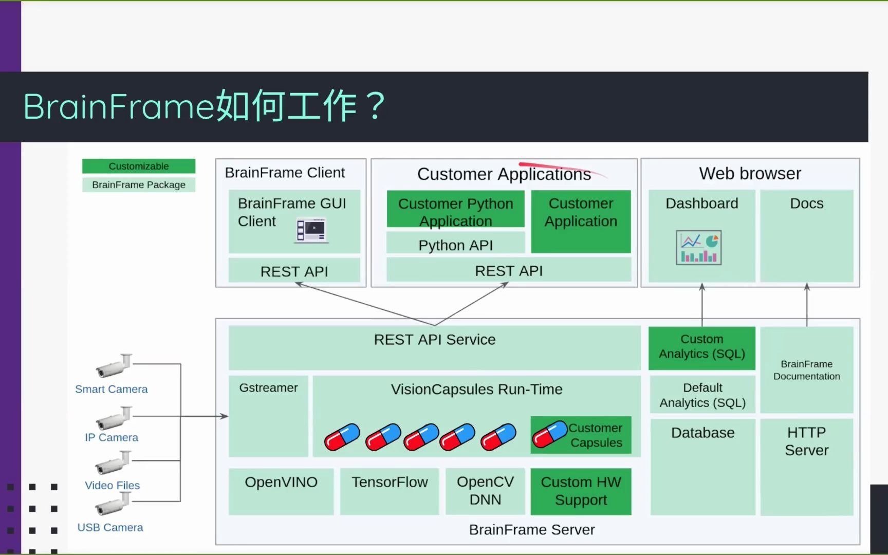 S2-01 BrainFrame架构+REST API基本功能实战介绍