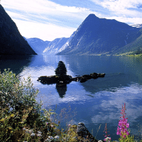 南南带你看风景 