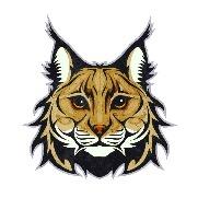 山猫益智 