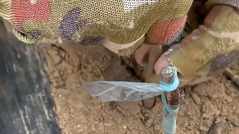 果树嫁接知识分享,新品种栽培技术,苹果树苗基地