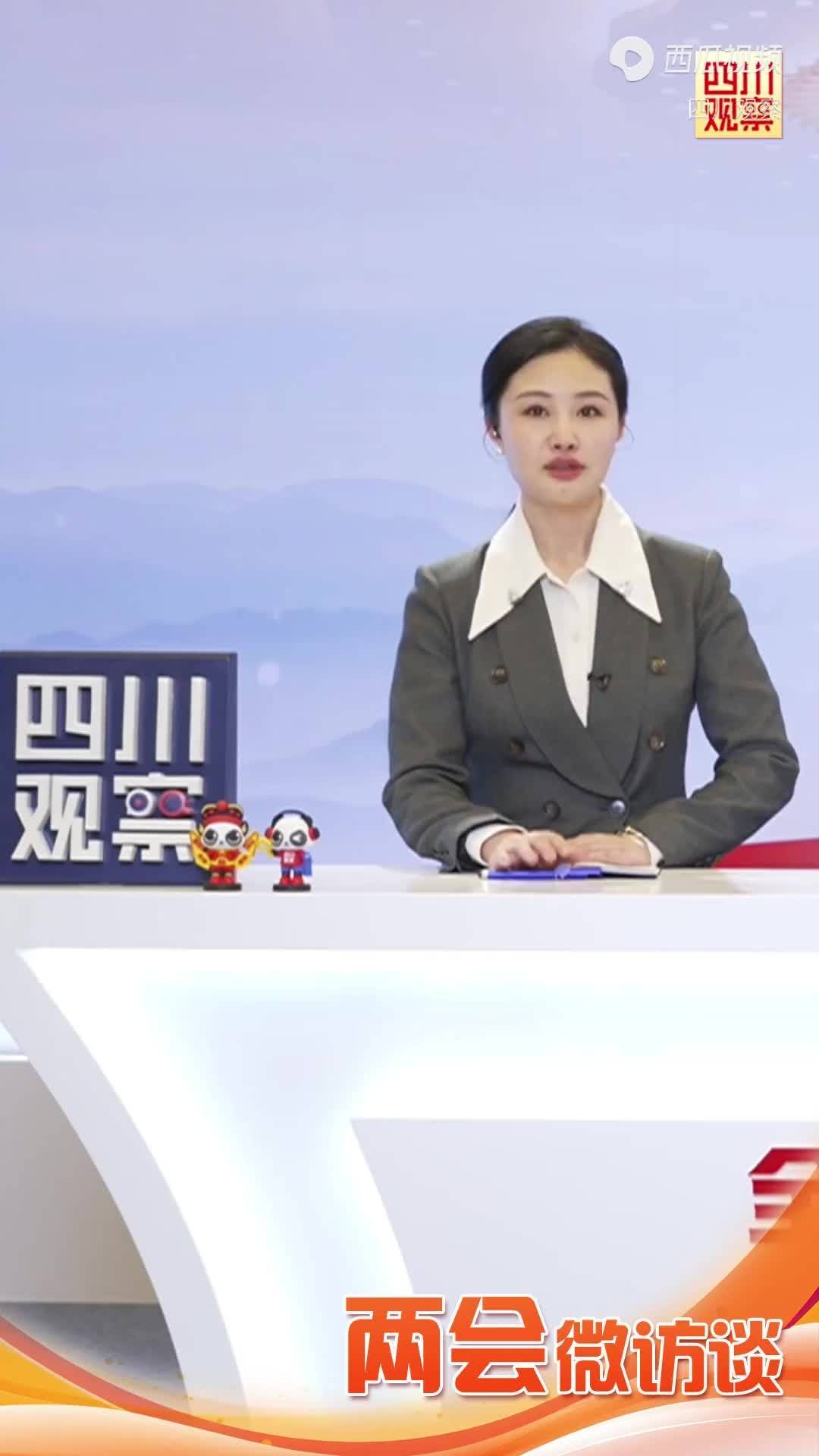 两会微访谈⑫刘汉元:受尊重 是民营企业家前行的最大动力