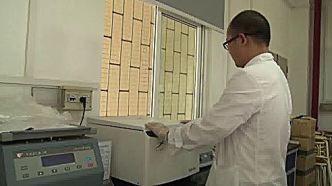 4-对虾中氯霉素含量的酶联免疫吸附试验法检测—李承勇