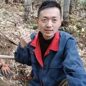 山野阿华 