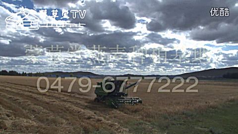 蒙草堂燕麦种植基地 蒙主粮燕麦胚芽米基地