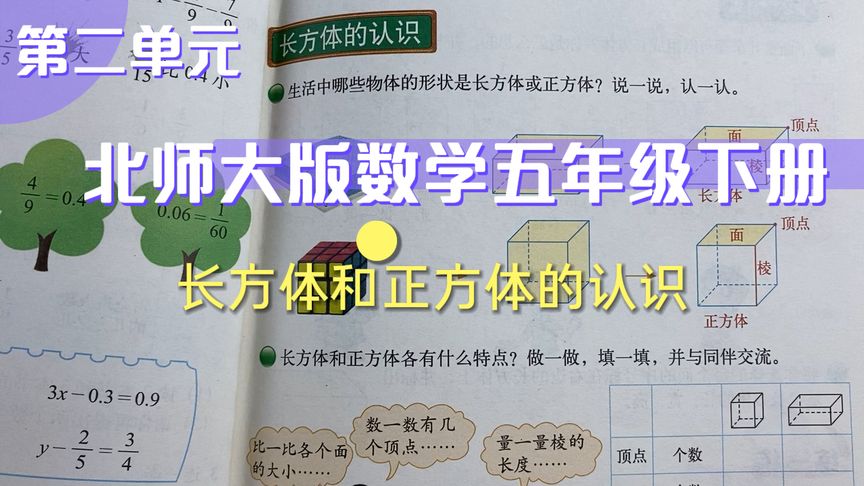 北师大版数学五年级下册第二单元长方体和正方体的认识11页