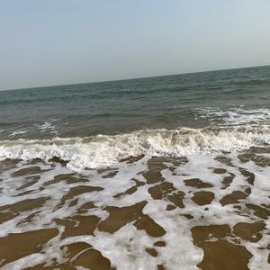 英语提分庆庆老师 