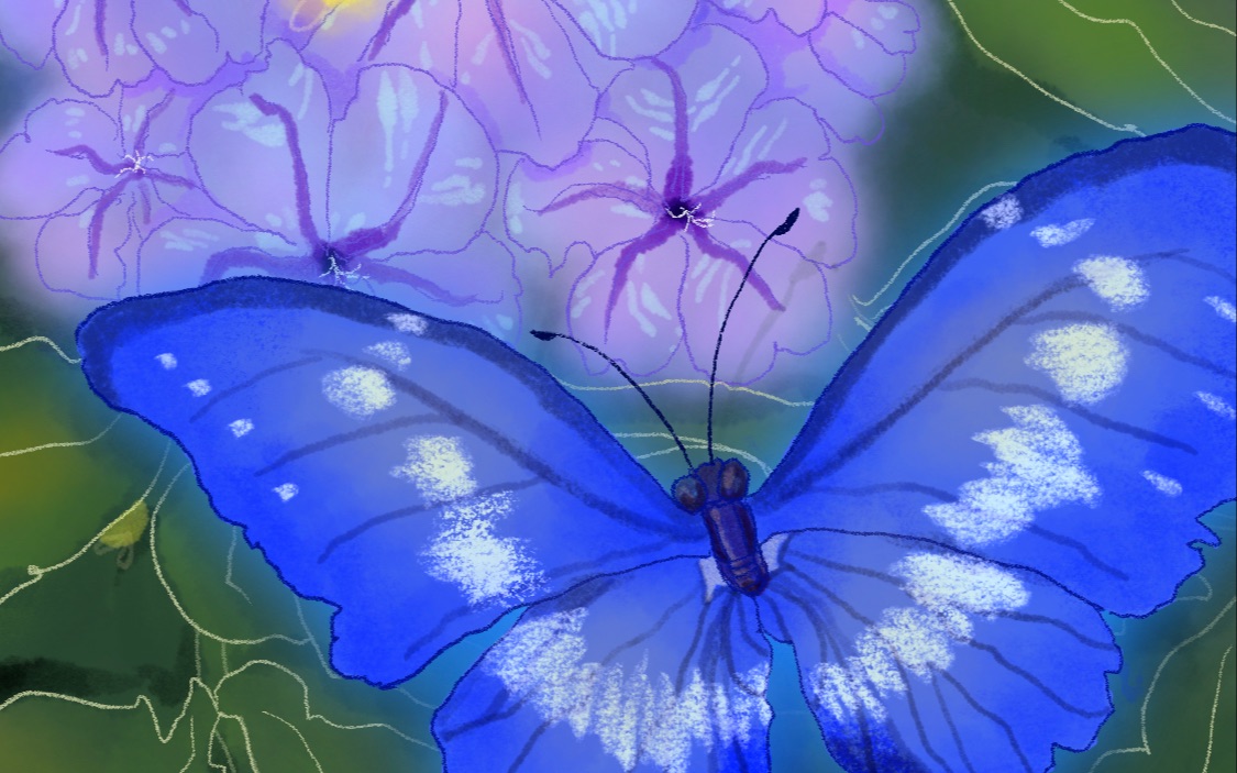 【左手の试炼】fa～ fu ～蝶～飞呀飞:) iPad procreate绘画啦～