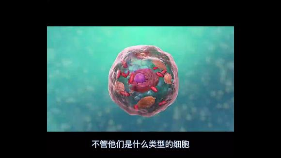 完整系统的细胞和细胞器的讲解动画 适合生物感兴趣的小伙伴