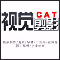 视觉剪影视频制作 