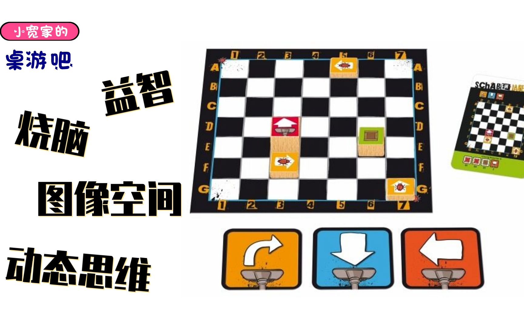 敌动我不动 | 棋格烧脑游戏 蟑螂消光光 (Schaben Jagen)