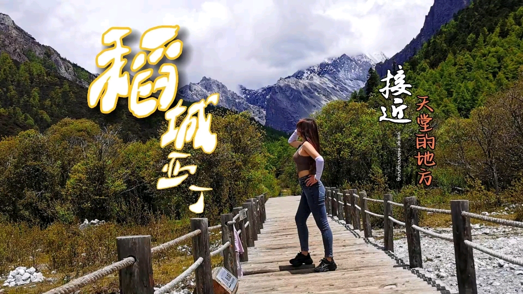 雪山,冰湖,高山松高原驻望,藏传佛教洗涤着信仰,注定是个不平凡的地方!