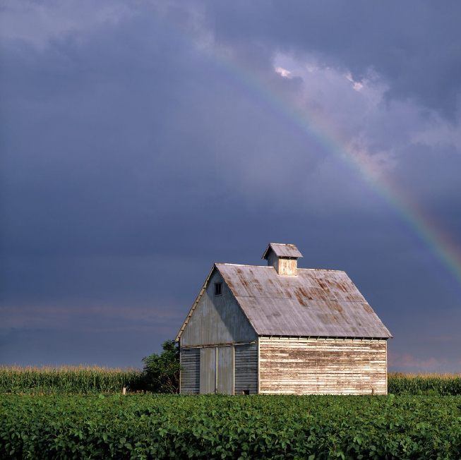 清秋一季乱昨朝 
