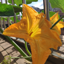 阳光下de美好生活 