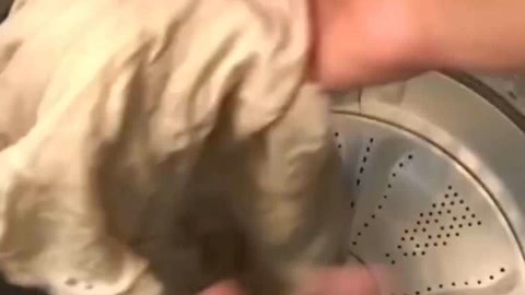 有多久没清洗洗衣机了,教你正确清洗方法