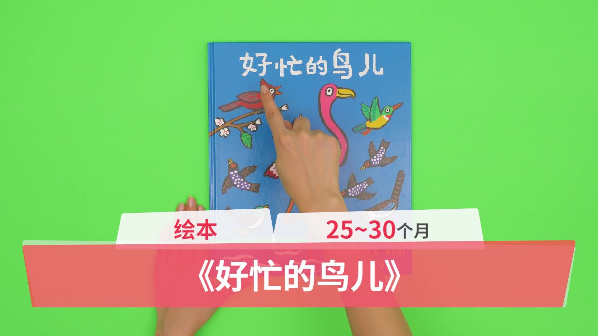 2-3岁宝宝绘本《好忙的鸟儿》