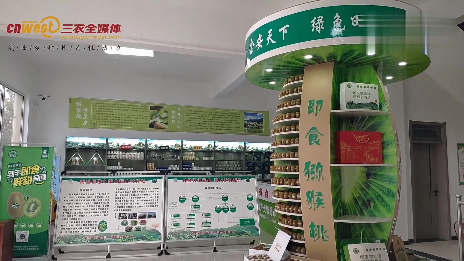 姚力:打造猕猴桃订单农业闭环生产新模式助农增收