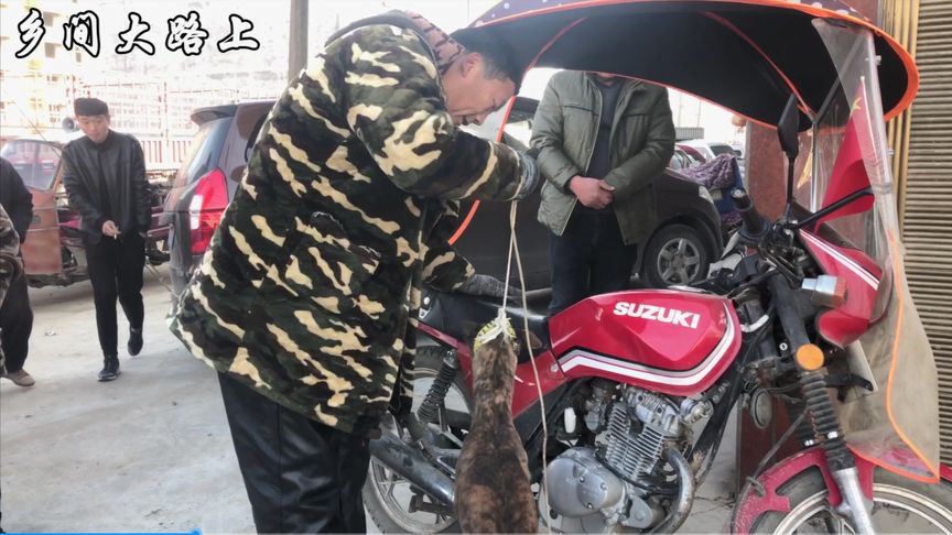 农村大哥的细狗不会叫换, 连咬个人都不会,一气之下卖给狗贩子