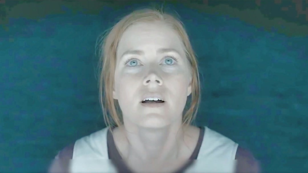 外星人来到地球传授外星语言,人类学会就可预测未来,无所不知