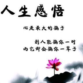 一个人走过春夏秋冬 