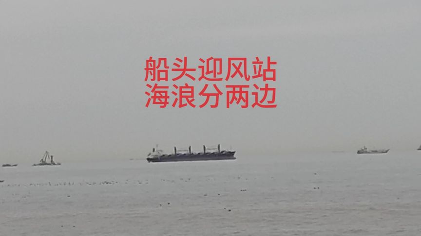 《海景专业户》请教:自古锚地无统规,为啥轮头都朝北?