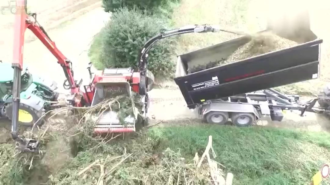 国外砍伐树木剩下的树枝,是这样处理的,值得我们借鉴