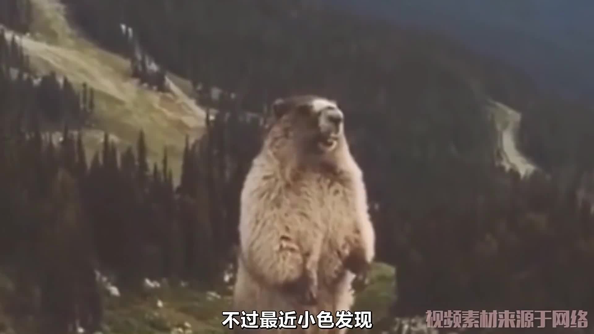 微信直接购买火车票,简直太方便了