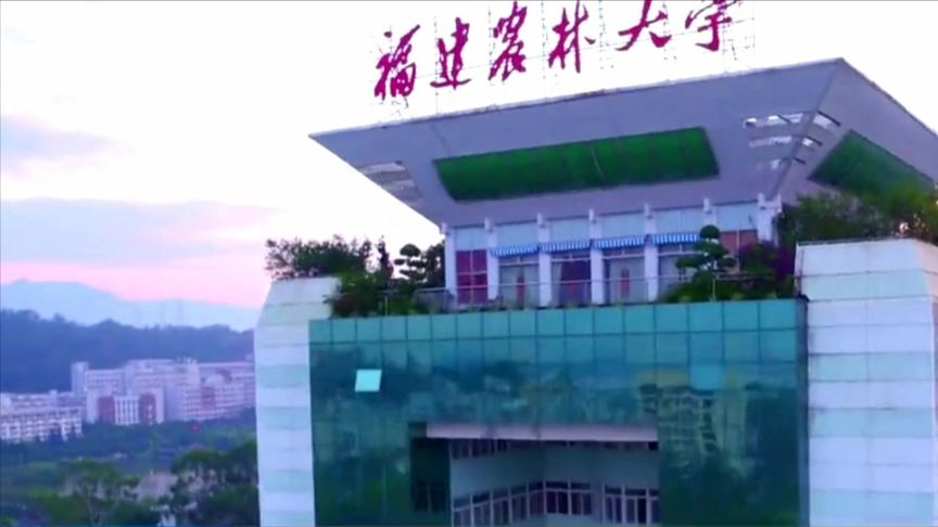 科研新势力——崛起的福建农林大学
