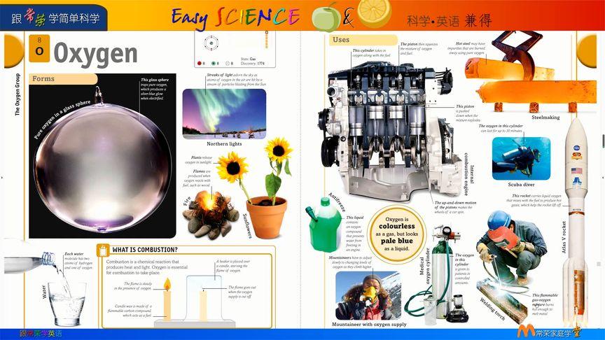 13化学元素周期表 氧硫硒碲钋 常荣学科学