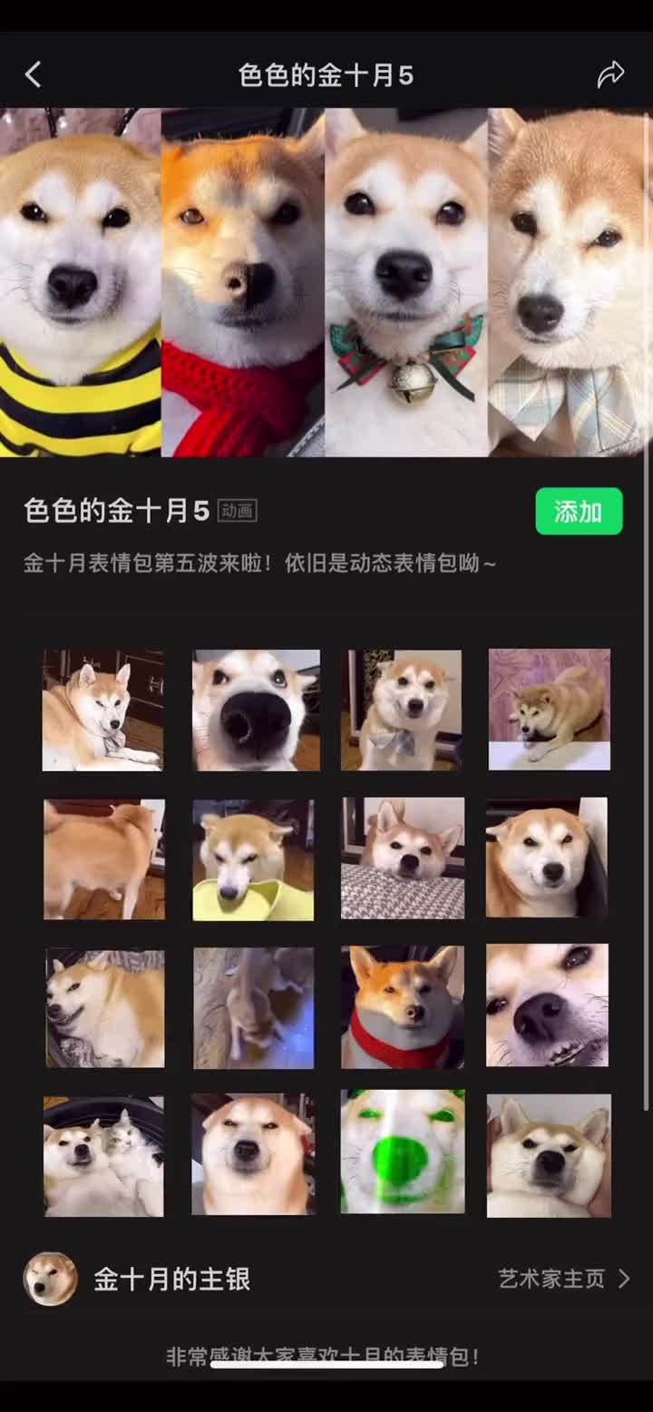 第五波动态表情包上线啦