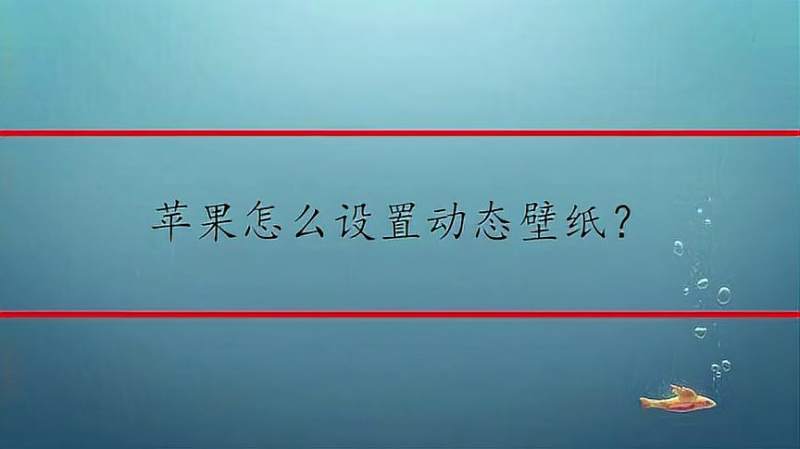 苹果怎么设置动态壁纸?