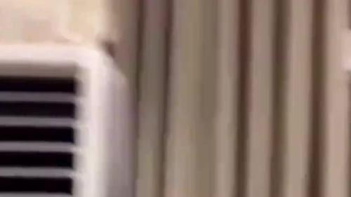 三只猫站空调顶排挤灰猫,动作统一眼神绝了!主人说:它喜欢欺负那三只...