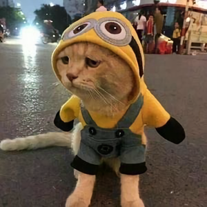 风奇说电影 