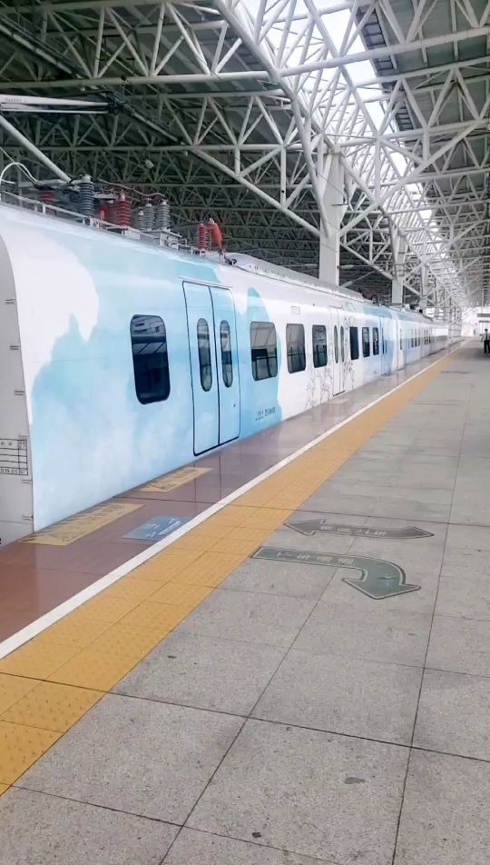 CRH6城际动车组跑海口市郊线