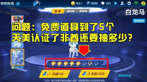 QQ飞车手游:天美认证非酋见过吗?宠物抽成这样了,还是抽到保底
