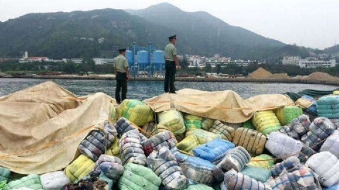 中国不要的垃圾,印度却当宝贝,没能力处理堆积成山!