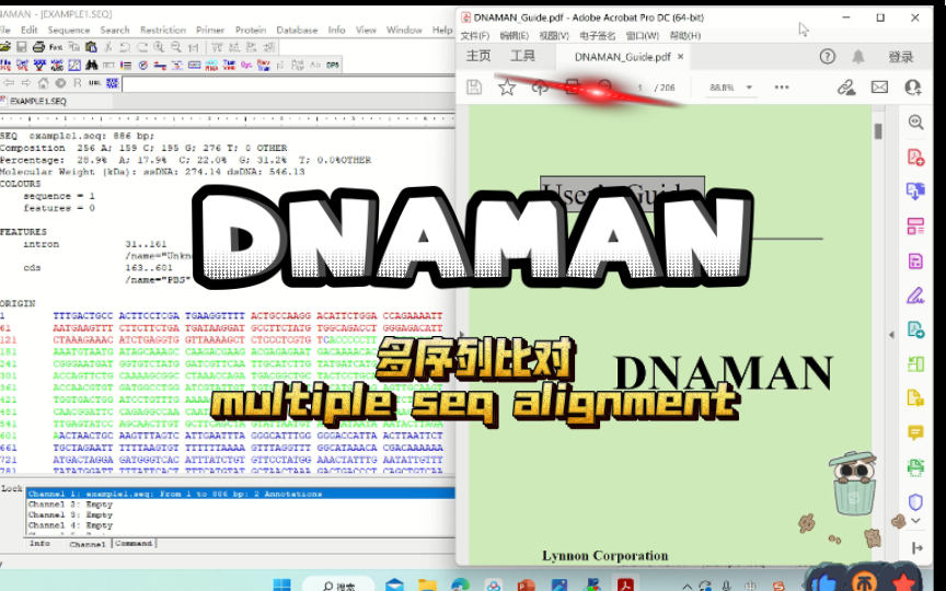 DNAMAN 软件^_^ 多序列比对 multiple alignment