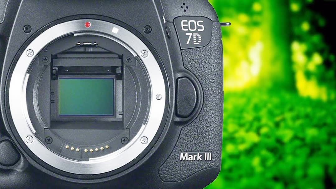 佳能EOS 7D Mark III配置曝光,或将2018年夏季正式发布