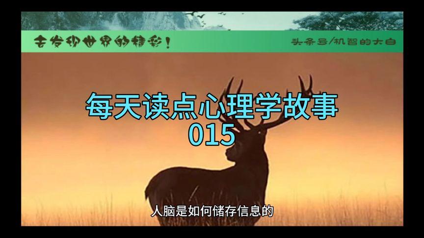 每天读点心理学故事_015.人脑是如何储存信息的