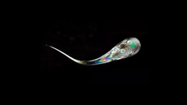 锤子都锤不破的钢化玻璃,却被几个小碎片轻易击碎,是什么原理?