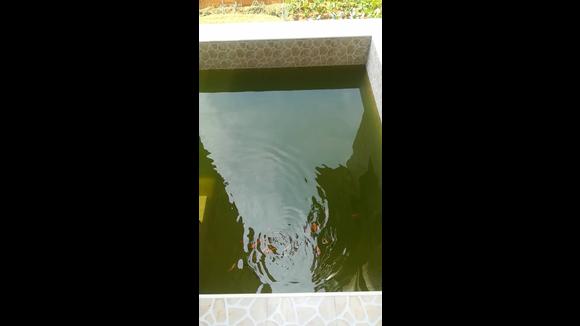 自制鱼池过滤器