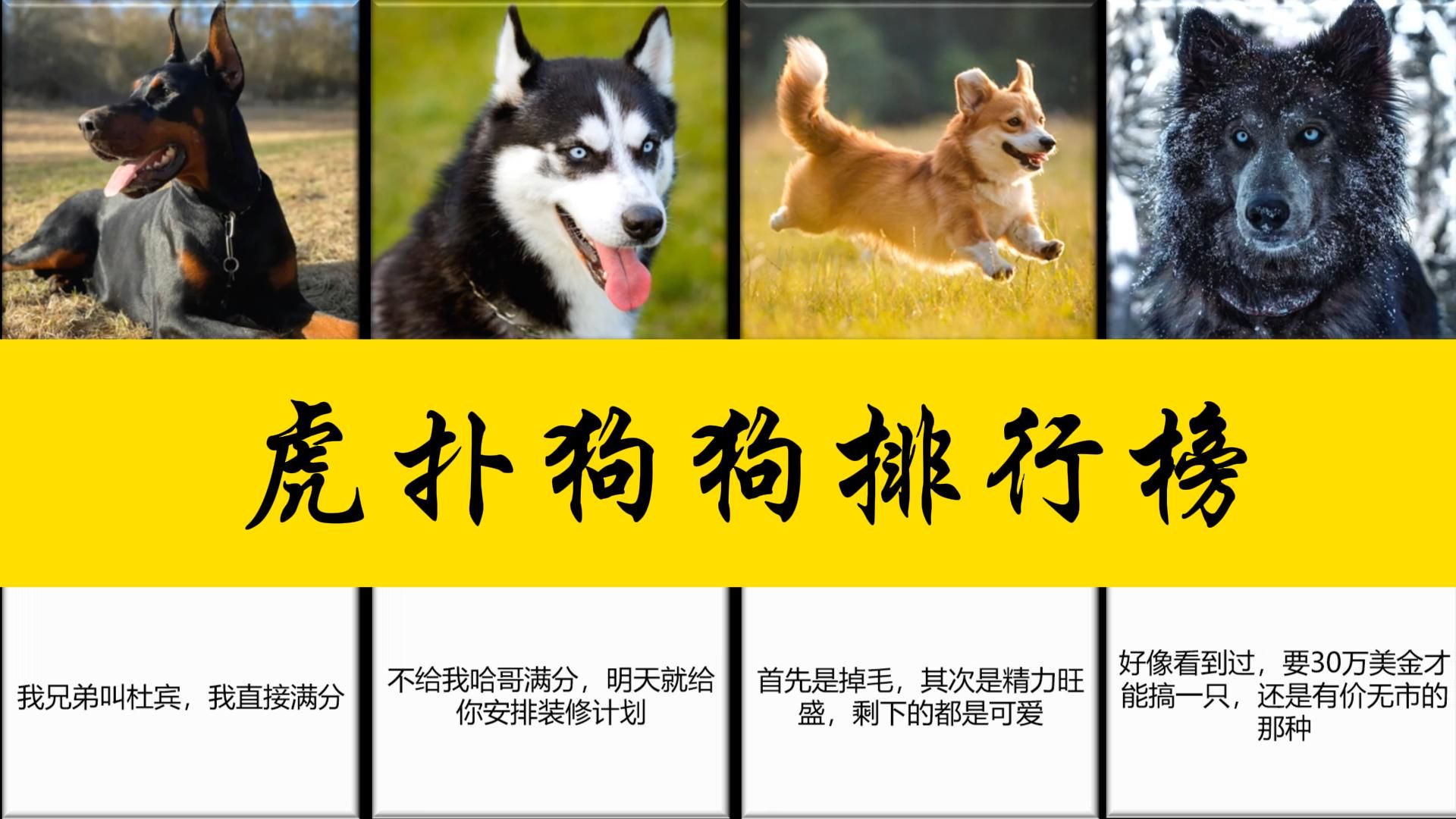 虎扑评论:真实狗狗排名(选取了评论人数最多的40种)