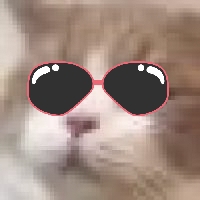 杳然成喵 