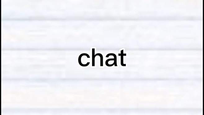 咱一起学习单词chat